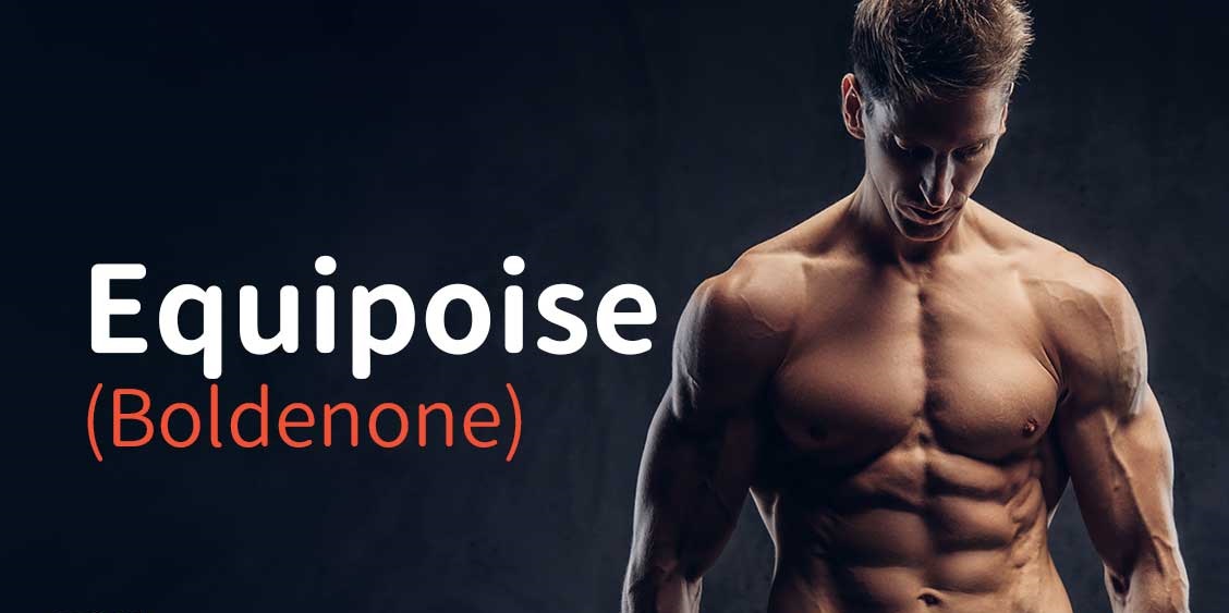 Equipoise Unveiled: A Closer Look at Before and After Results of This ...